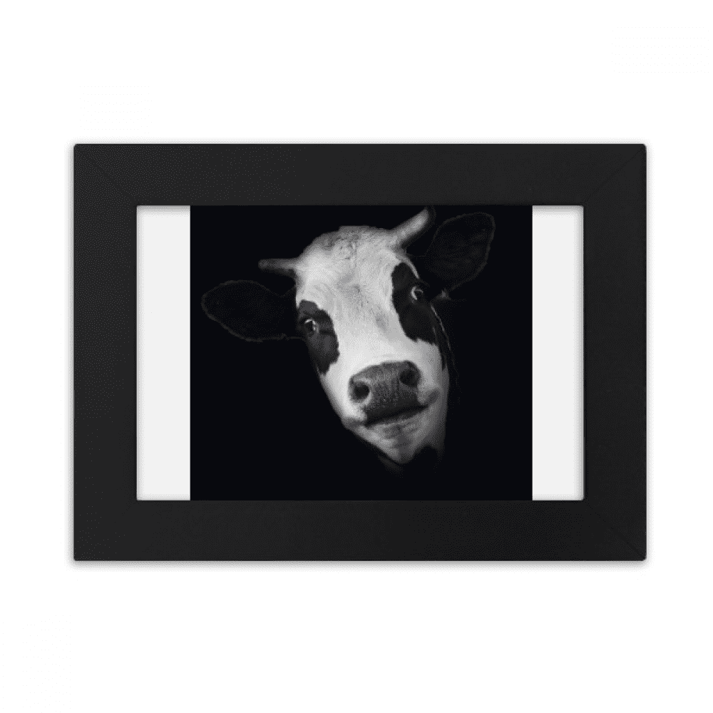 Black Observation Horn Dairy Cow Desktop Photo Frame Ornaments Picture ...
