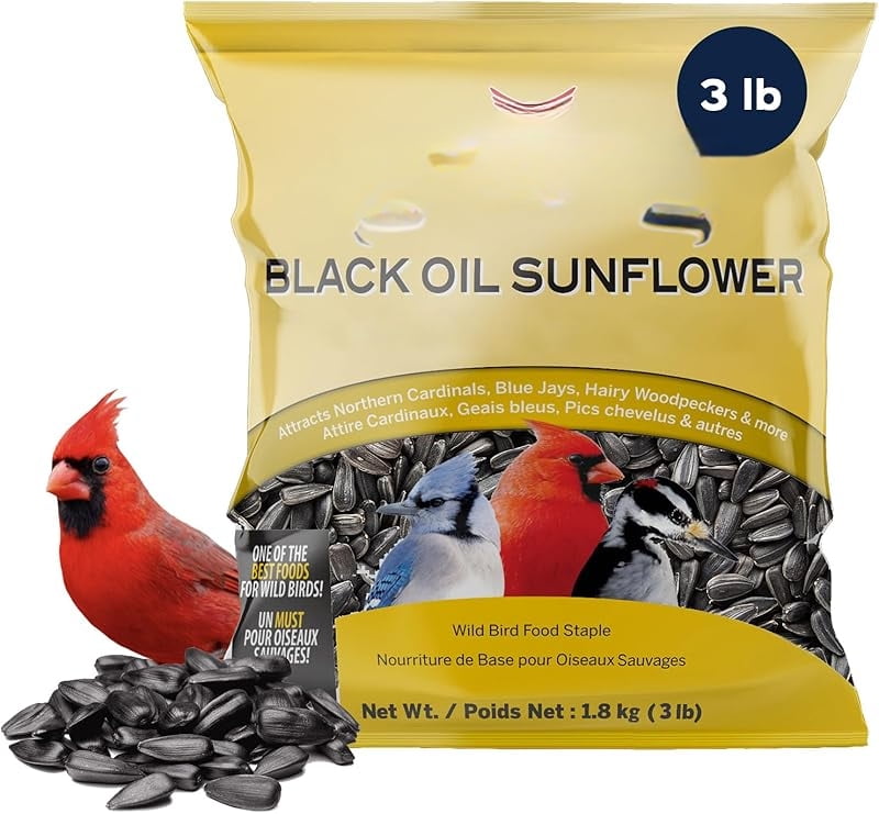 Black Oil Sunflower Bird Seed, 3 Pounds - for Northern Cardinals, Blue ...