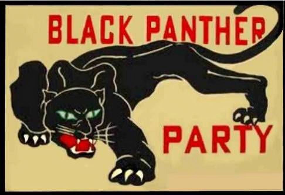 Black Panther Party 3'X5' Flag ROUGH TEX® 100D - Walmart.com