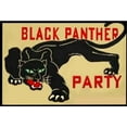 Black Panther Party 3'X5' Flag ROUGH TEX® 100D - Walmart.com