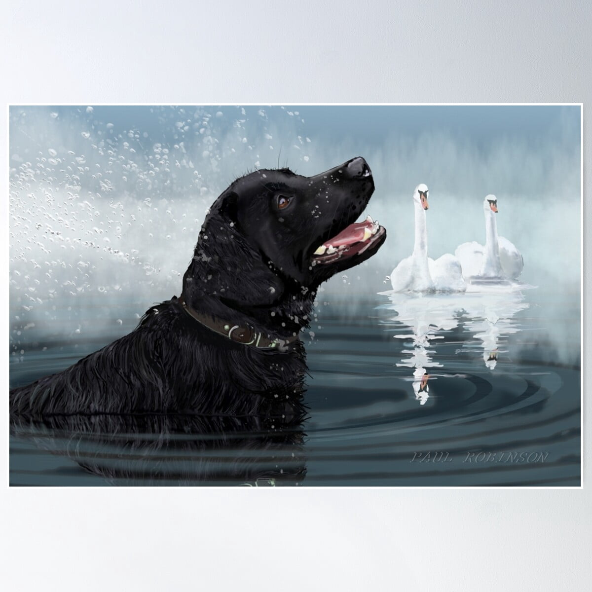 Black Pedigree Labrador Swimming Poster Wall Art, Modern Wall Decor For ...