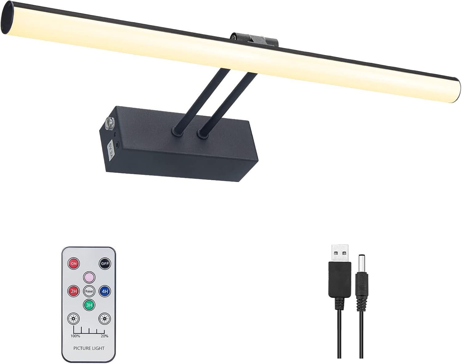 Black Picture Light, Operated Painting Lighting with Remote,16 inch Art ...