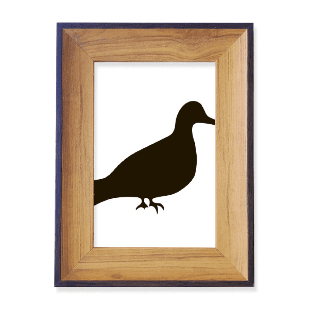 Black Pigeon Animal Portrayal Photo Frame Exhibition Display Art ...
