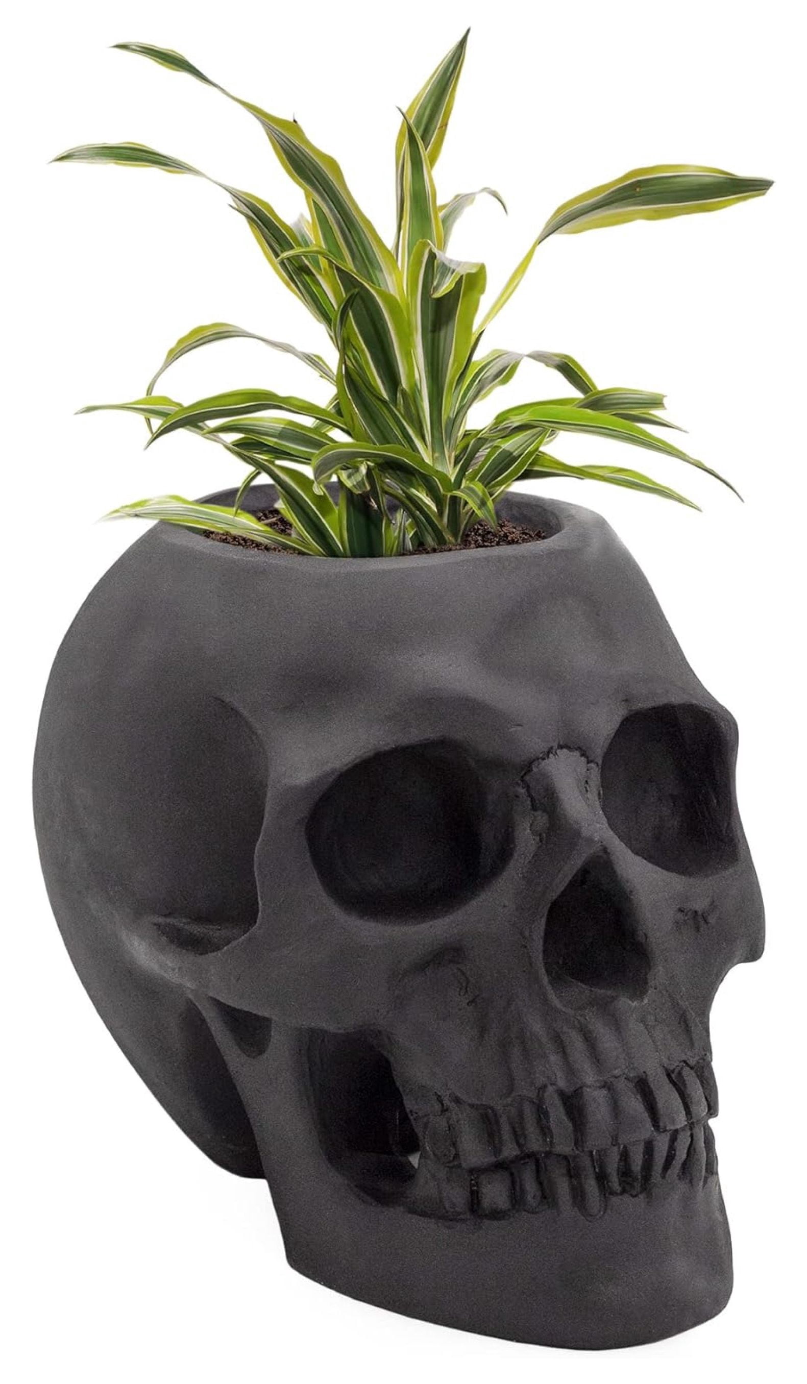 Black Planter Pot, Horror Zombie Theme Decorative Mini Planter for Air ...