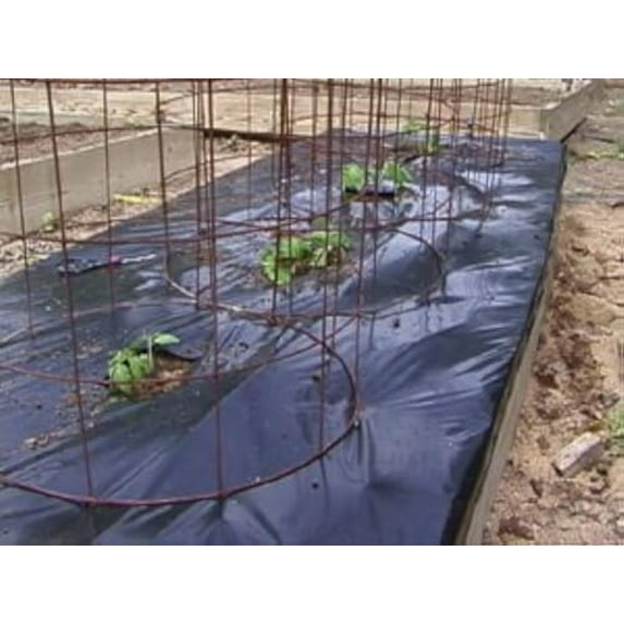 Black Plastic Mulch 4ft. X 50ft. 1.0 Mil Embossed by Growers's Solution ...