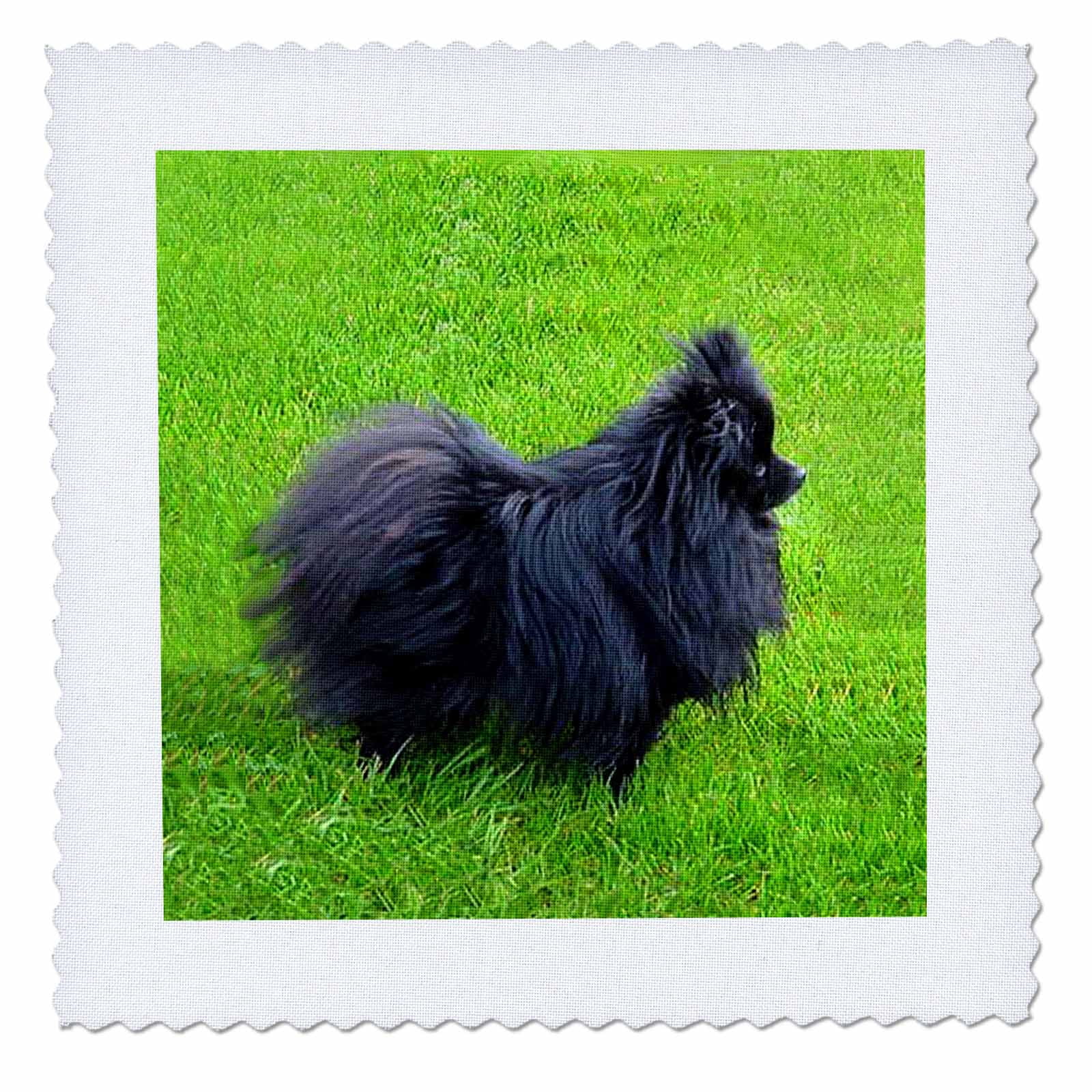 3dRose, Black Pomeranian, 10x10 inch quilt square - Walmart.com