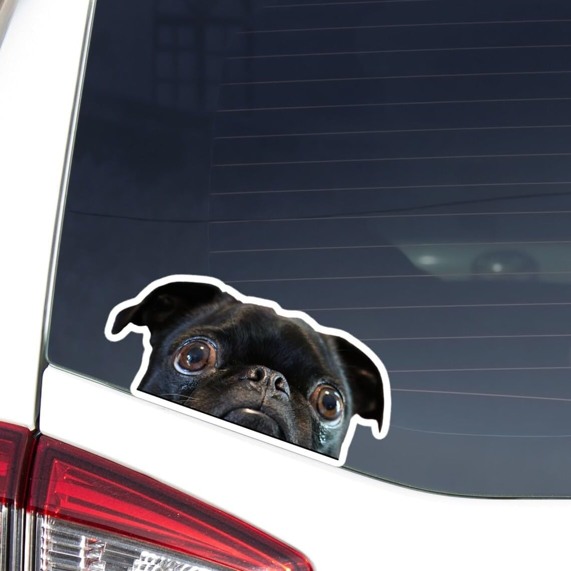 Black Pug Car Decal Sticker, Looking Out Peeking Realistic Pug Dog Head ...