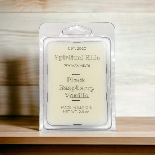 Black Raspberry Vanilla Soy Wax Melts (2) 2.6oz 6 cubes Hand Poured ...