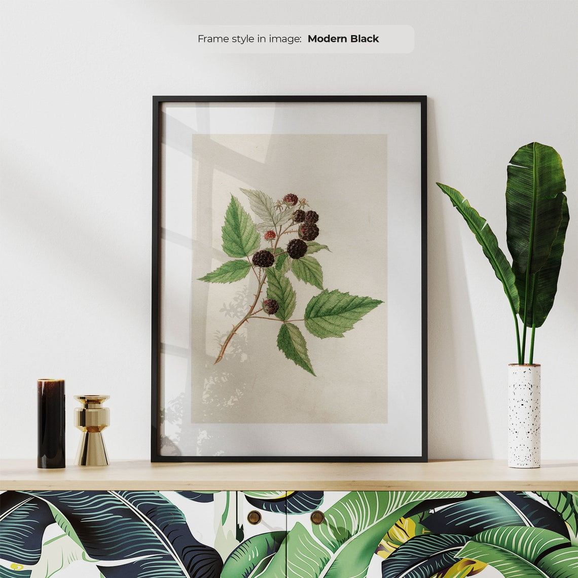 Black Raspberry Vintage Botanical Print, Unframed Paper Poster 16x20in ...