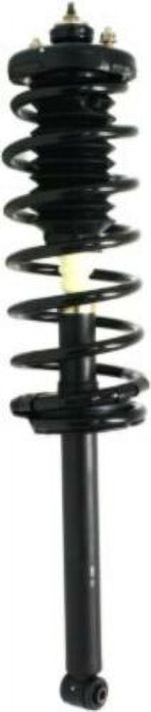 Black Rear Side Shock Absorber and Strut Assembly for 98-02 Honda ...