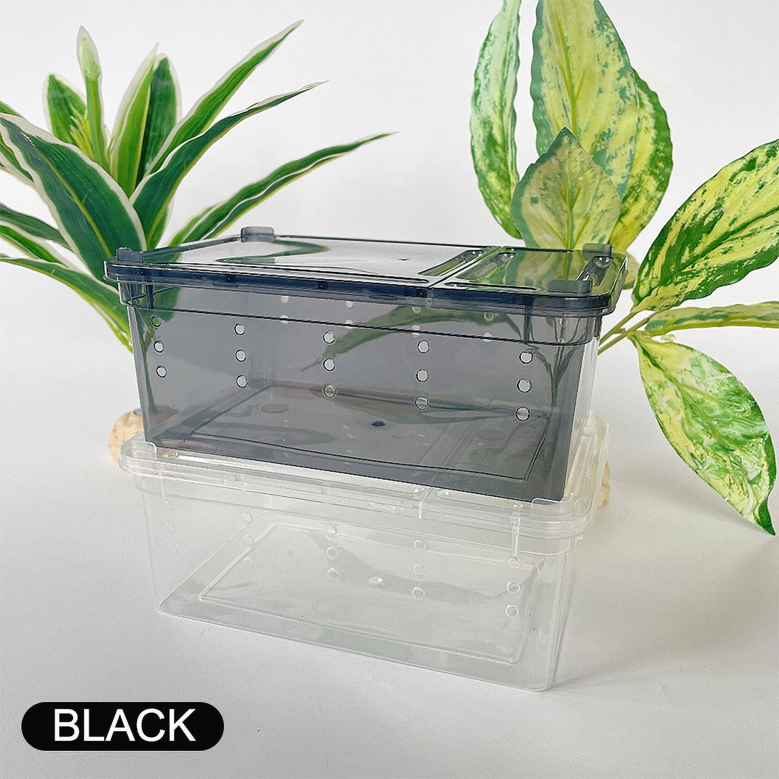 (Black) Reptiles Spider Transparent Plastic Feeding Box Insect Food ...