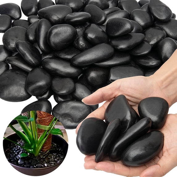 Black River Rocks - Large Polished Black Pebbles for Plants & Garden ...
