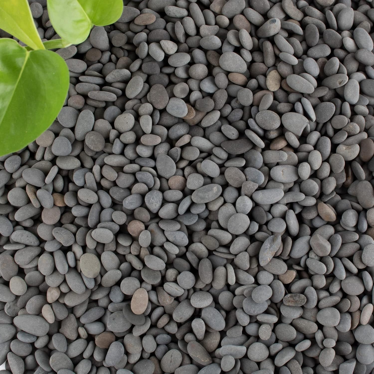 Black Rock, 18lb River Rocks Pebbles for Plants Succulents, Decorative ...
