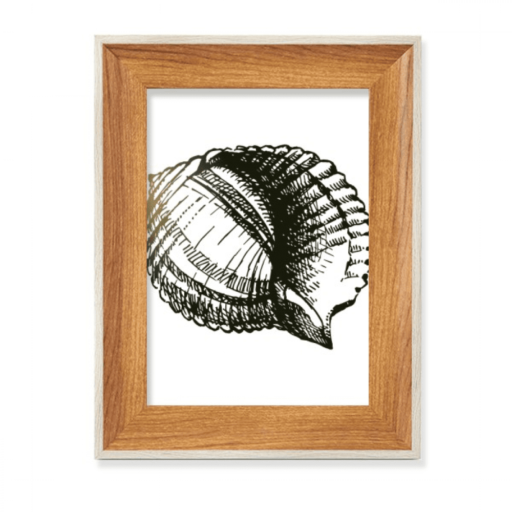 Black Scallop Marine Life Illustration Desktop Wooden Photo Frame ...