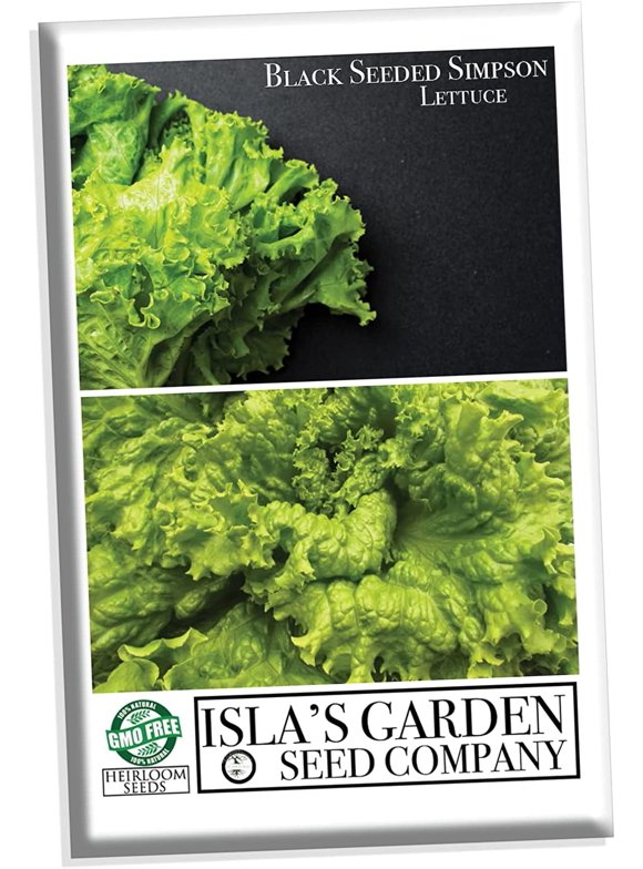 Lettuce Seeds in Seed Gardening - Walmart.com
