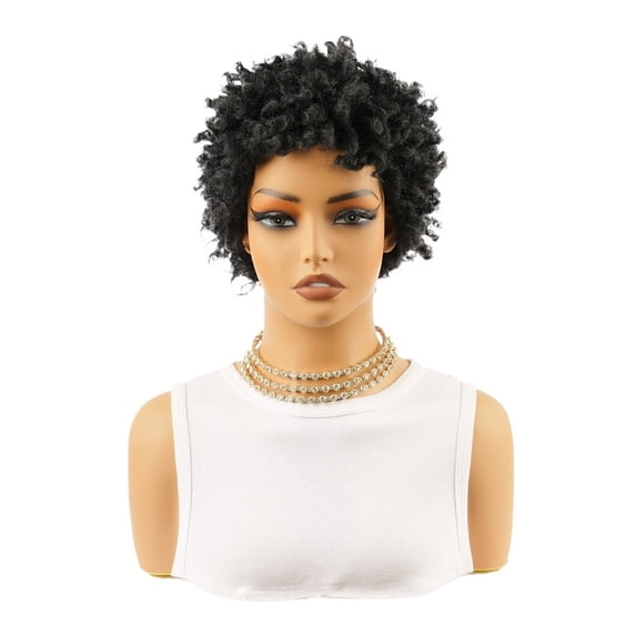 Black Short Hair Wigs with Natural Fluffy Curls - Versatile Women's ...