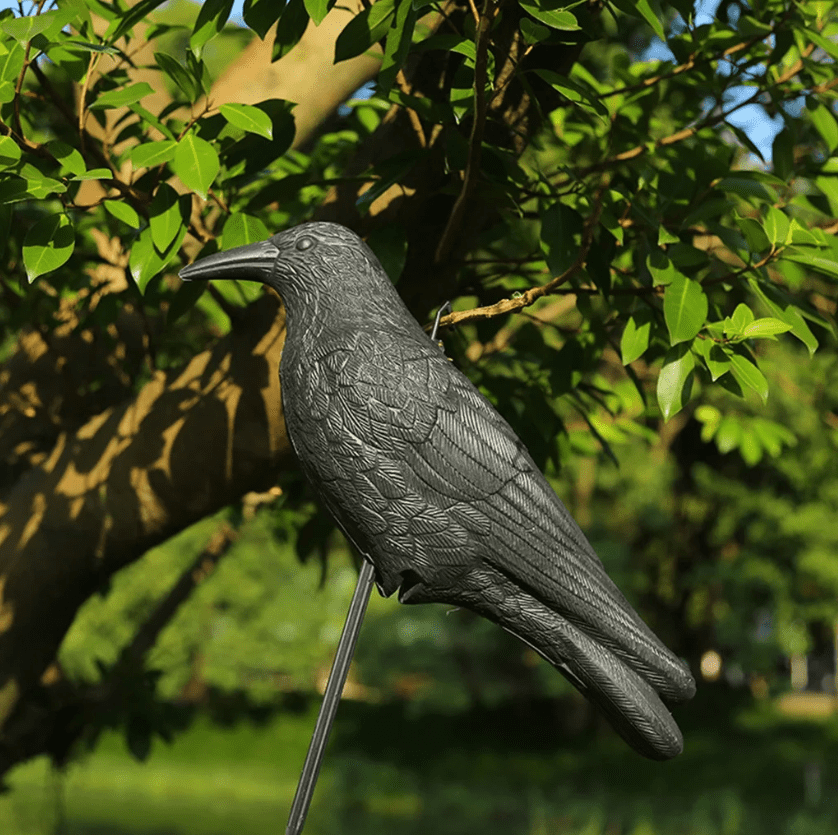 Black Simulation Crow Black Feathered Crows Realistic Raven Handmade ...