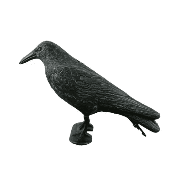 Black Simulation Crow Simulation Hunting Bait Decoration Plastic Scary ...