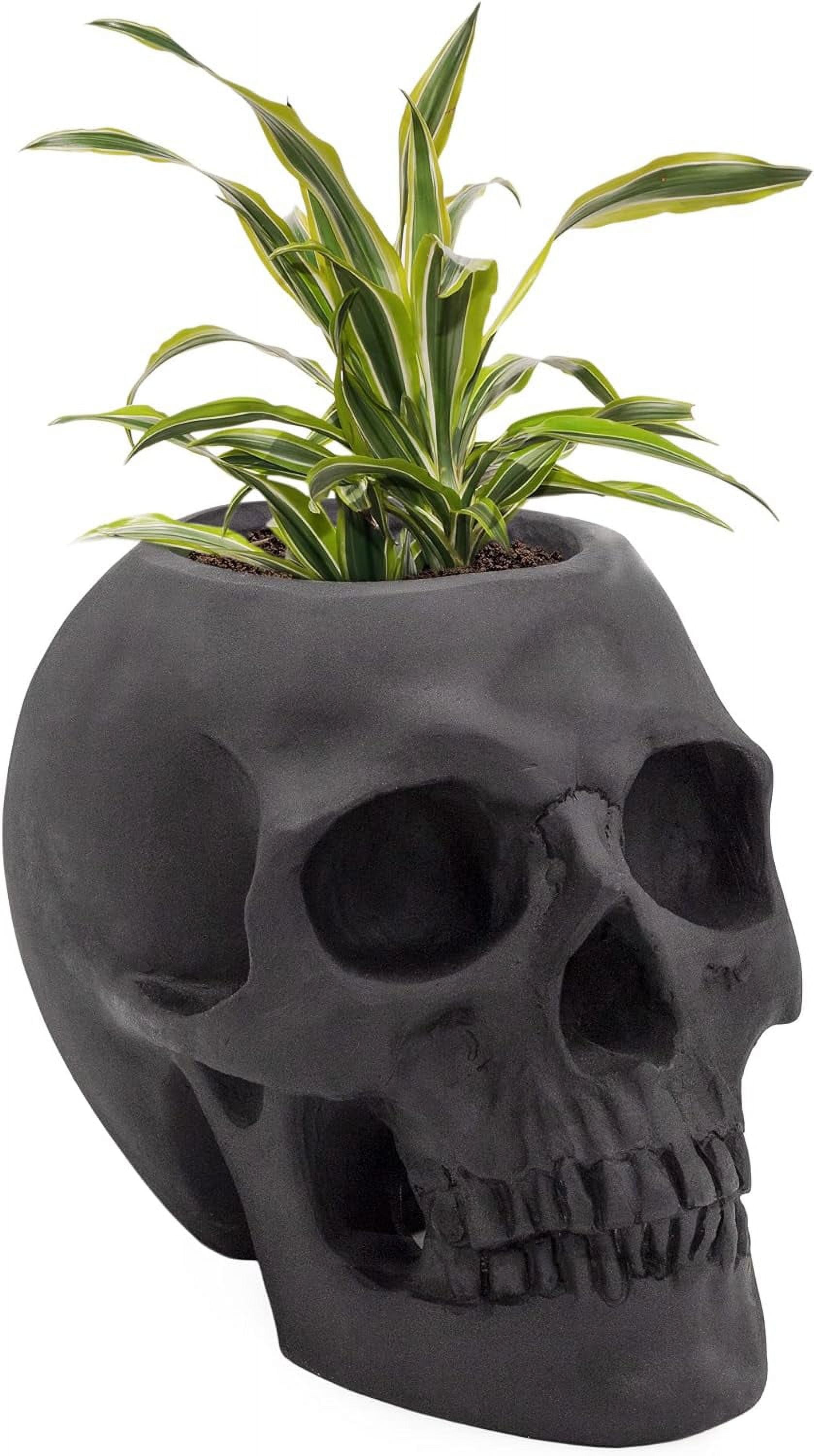 Black Skull Planter Pot, Horror Zombie Theme Decorative Mini Planter ...