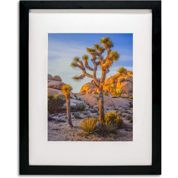 16x20 Picture Frames in Picture Frames - Walmart.com