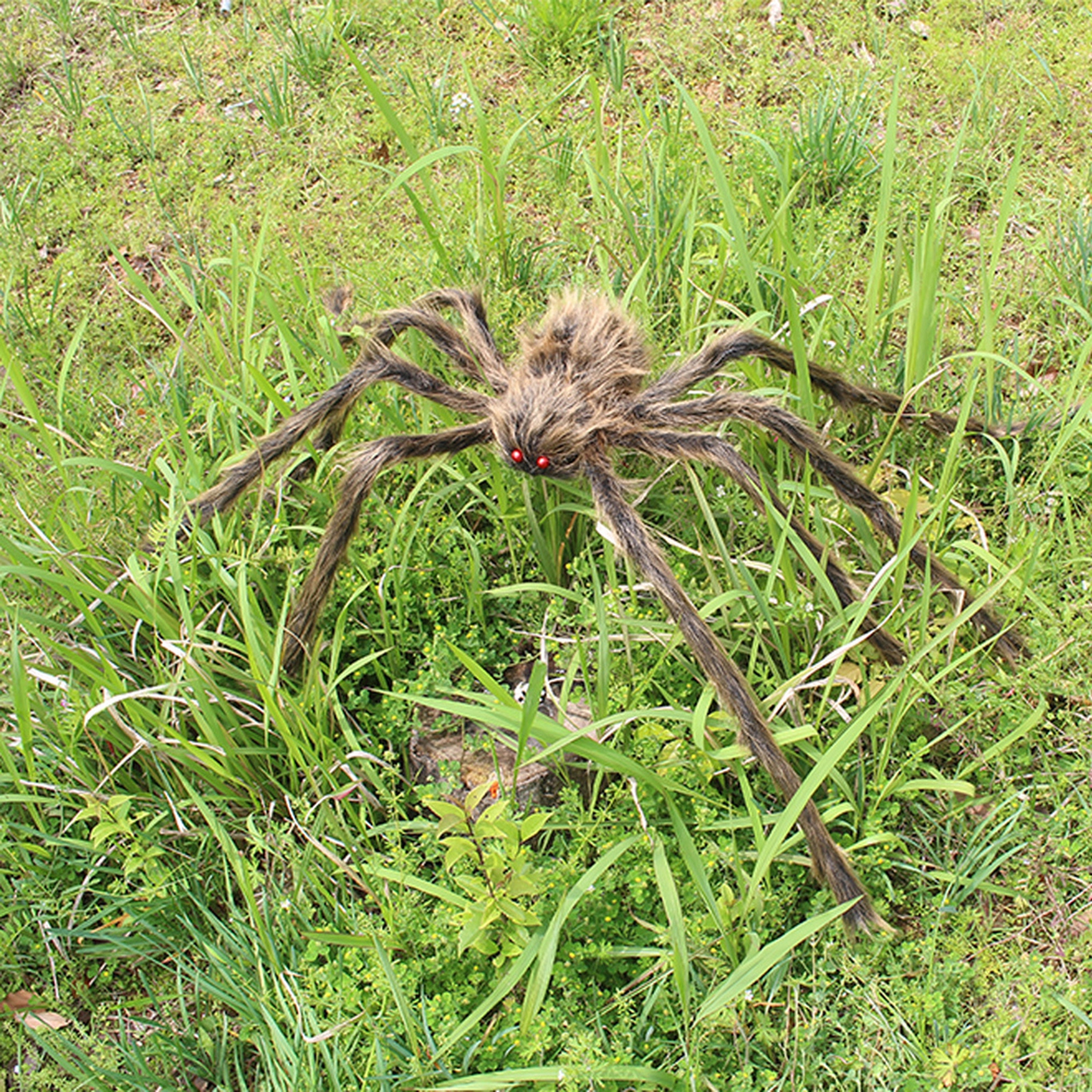 Black Spider Prop Halloween Spider Decoration Halloween Hairy Spider ...