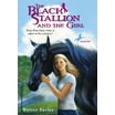 Black Stallion: The Black Stallion's Courage (Paperback) - Walmart.com