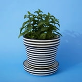 Black Striped Ceramic Large Planter - Walmart.com