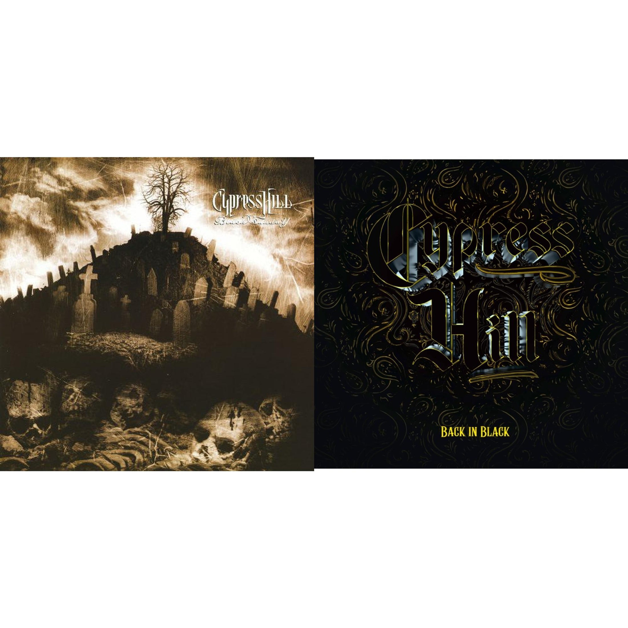 Black Sunday (2LP/180G/Gatefold) & Back In Black - Walmart.com