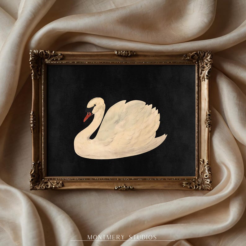 Black Swan And White Swan, Muted Vintage Swan Print Posters, Neutral ...