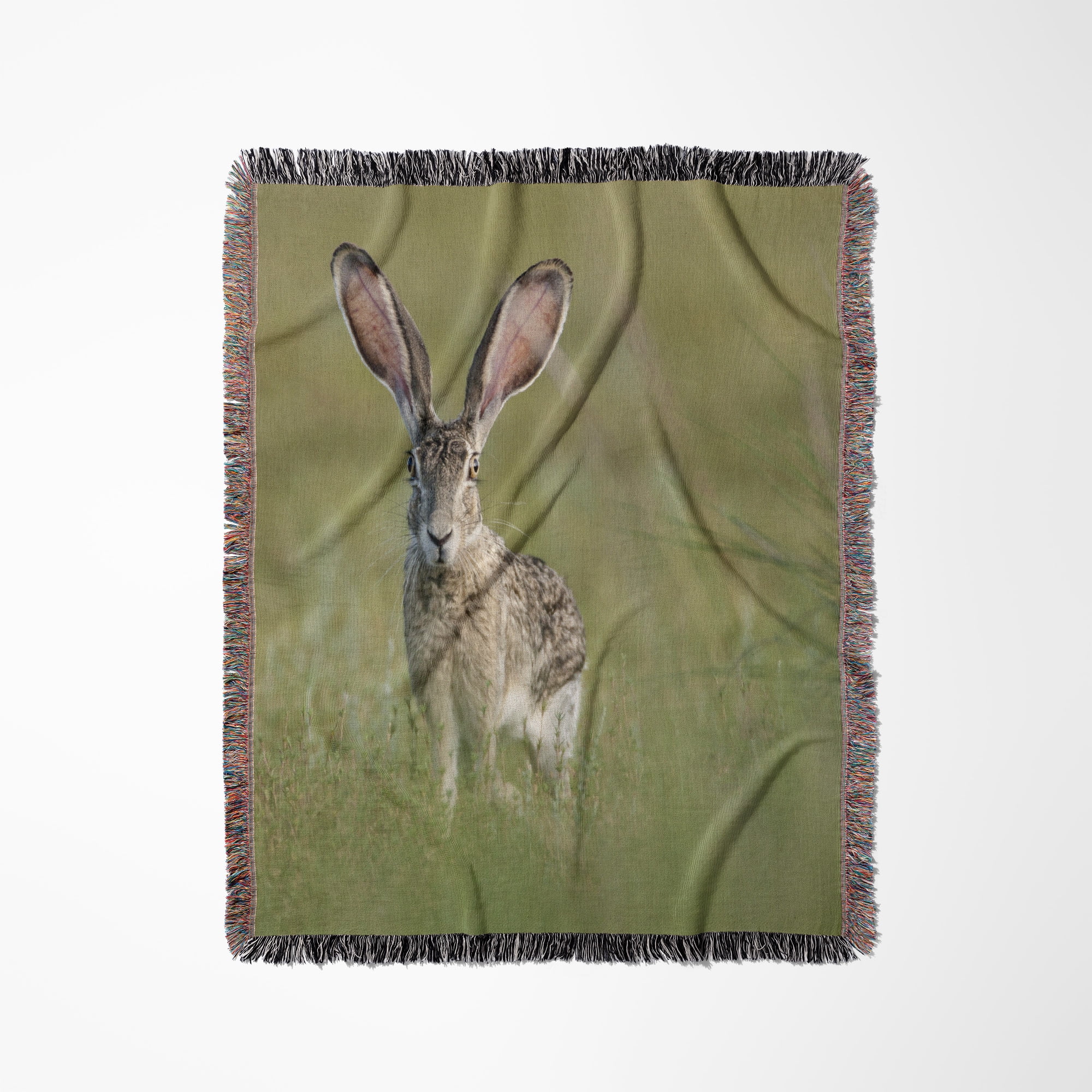 Black-Tailed Jackrabbit, Lepus Californicus, Welder Flats, Texas, Woven ...