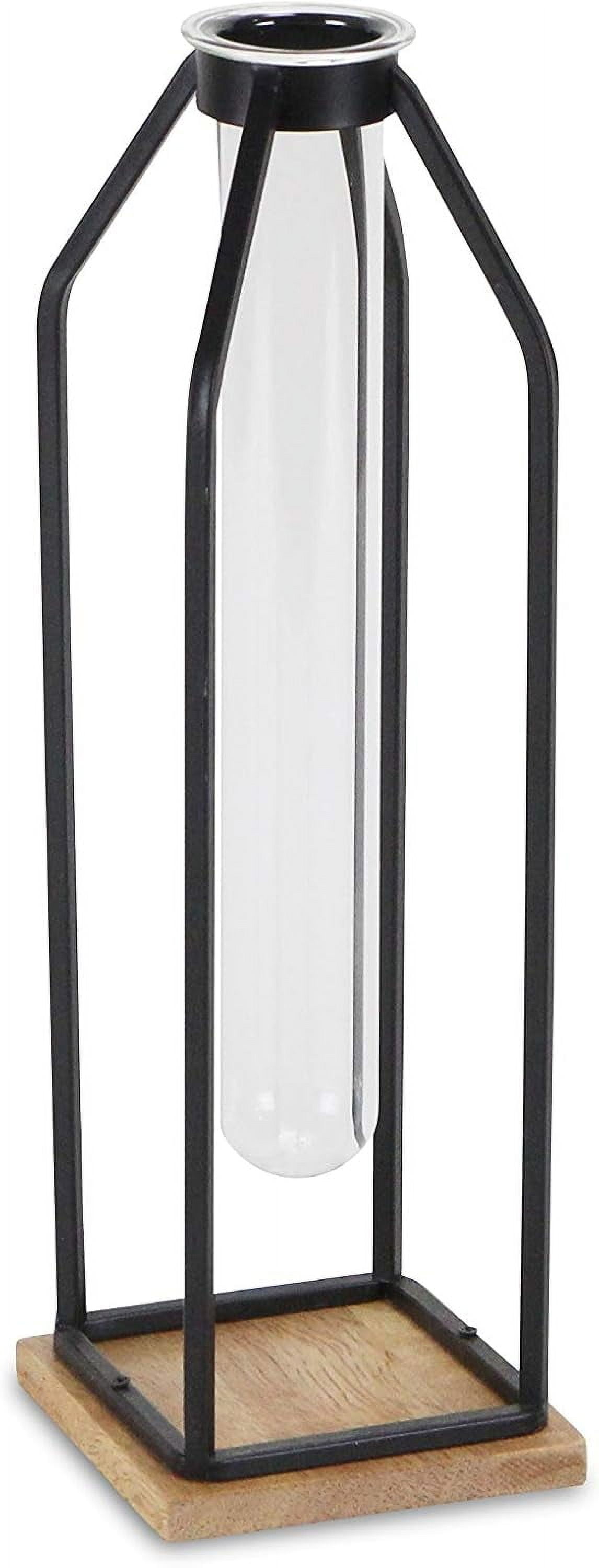 Black Tall Metal Stand with Glass Tube Jar Holder - Walmart.com