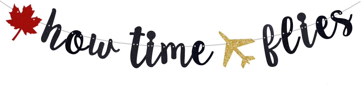 Black How Time Flies Banner,Happy Retirement/How Time Flies/Airplane ...