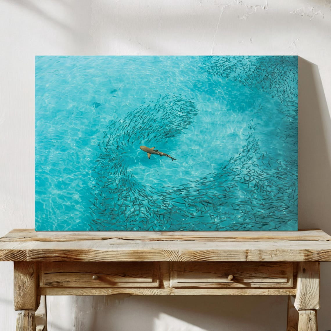 Black Tip Reef Shark Poster, Shark Lover, Ocean Lover Wall Art, Beach ...