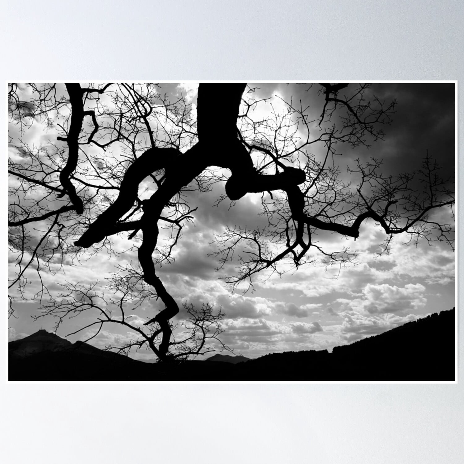 Black Tree Poster Wall Art, Modern Wall Decor, 24x36 UNFRAMED - Walmart.com