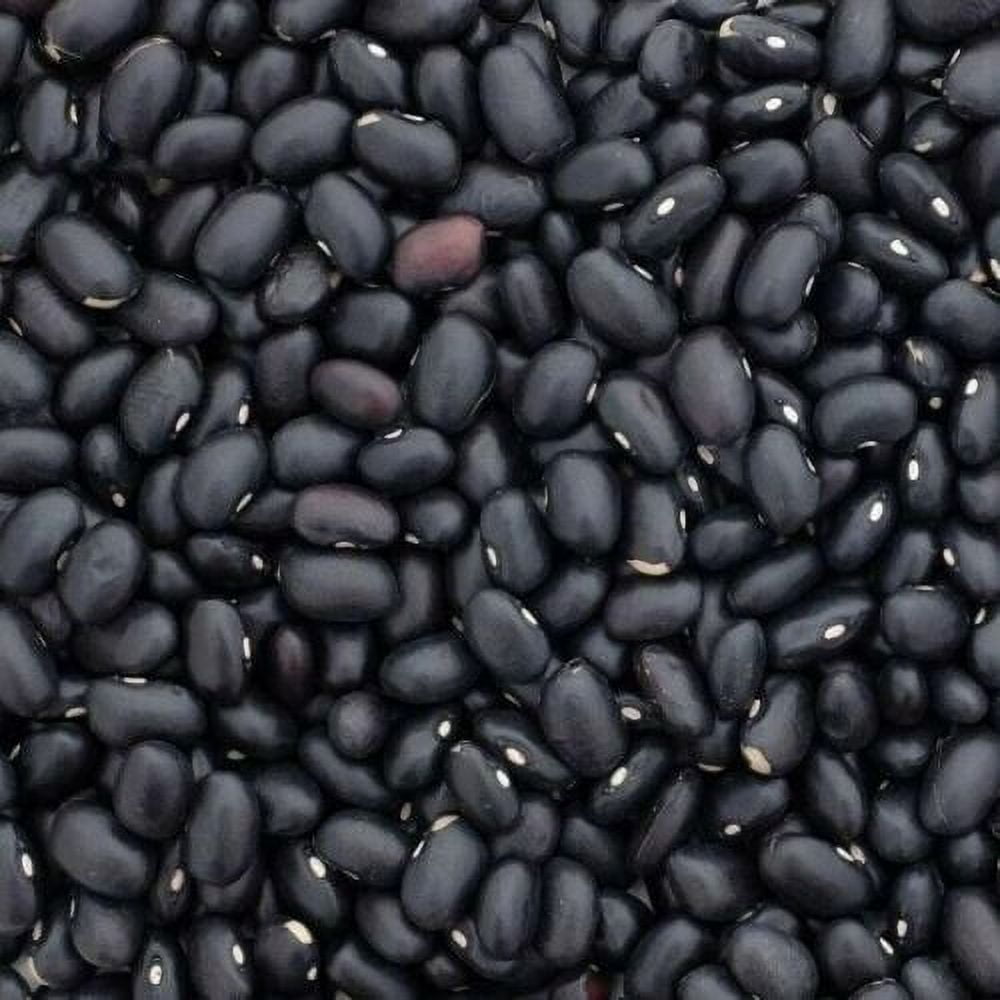 Black Turtle Bean 10 LB - Walmart.com