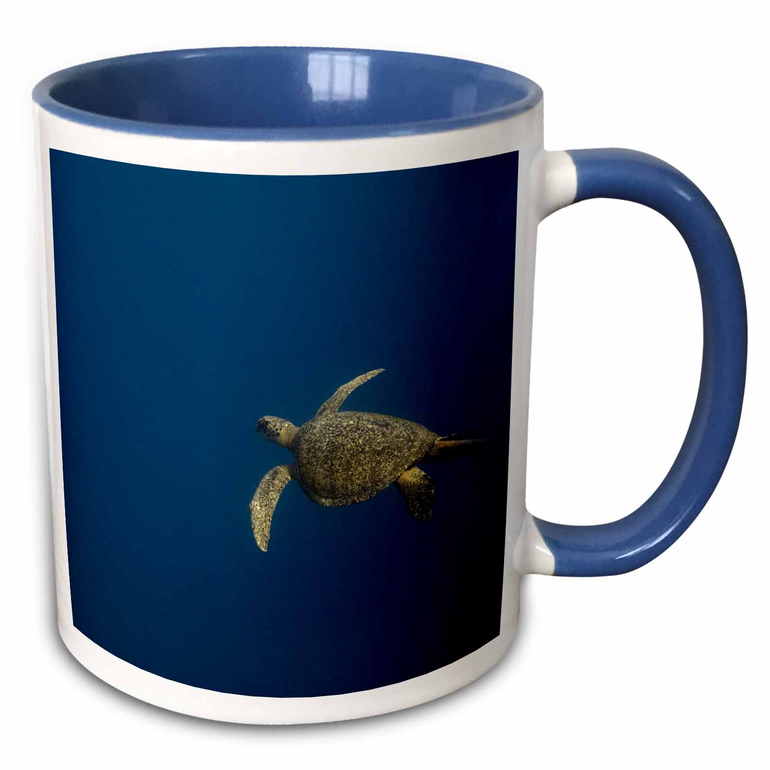 3drose, Black Turtle, Wolf Island, Galapagos, Ecuador - Sa07 Pox0787 ...