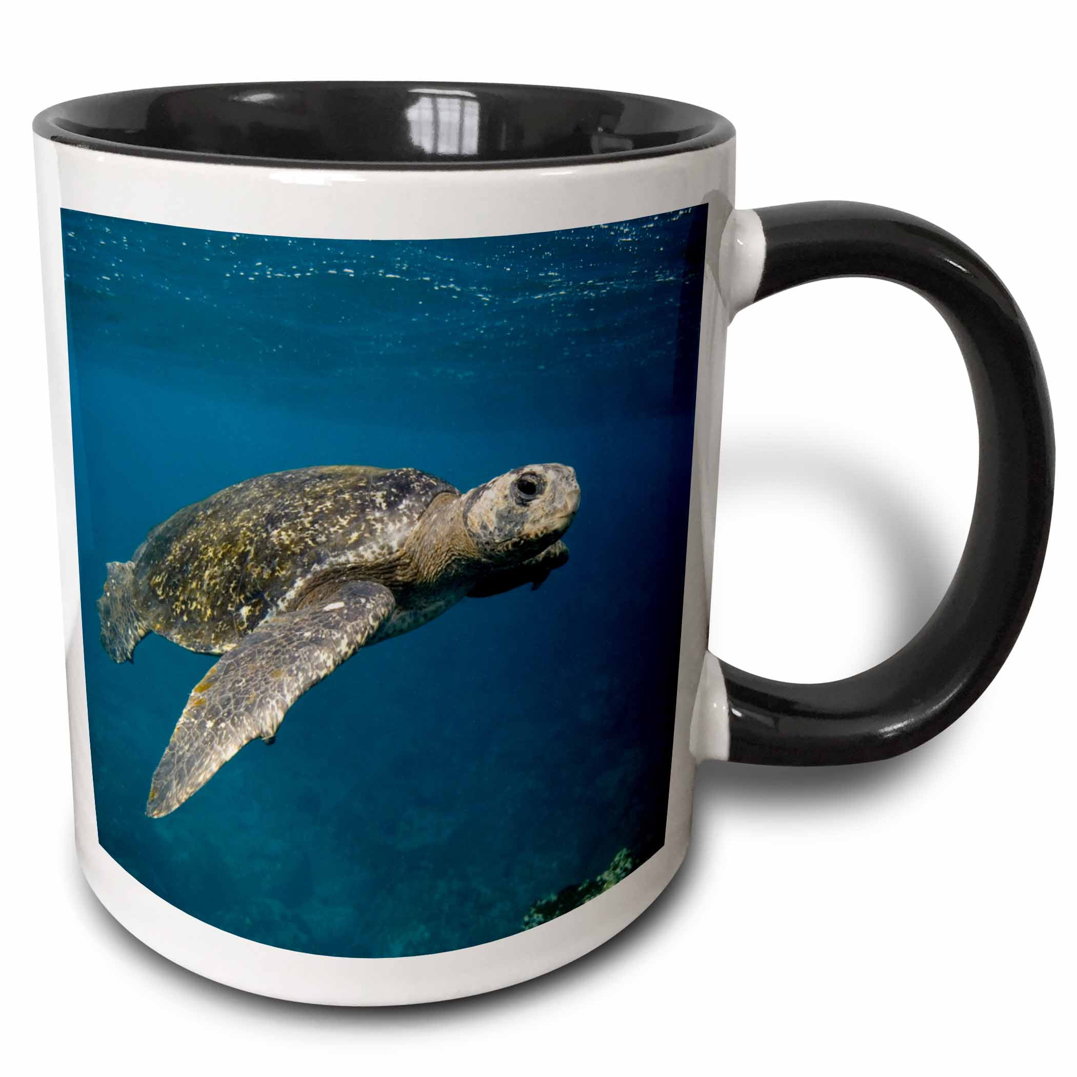3drose, Black Turtle, Wolf Island, Galapagos, Ecuador - Sa07 Pox0812 ...