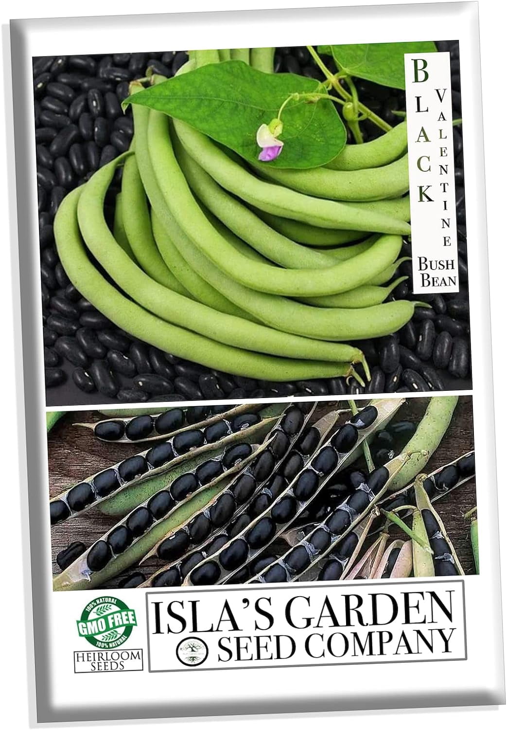 Black Valentine Bush Bean Seeds, 50+ Heirloom Seeds Per Packet, Non GMO ...