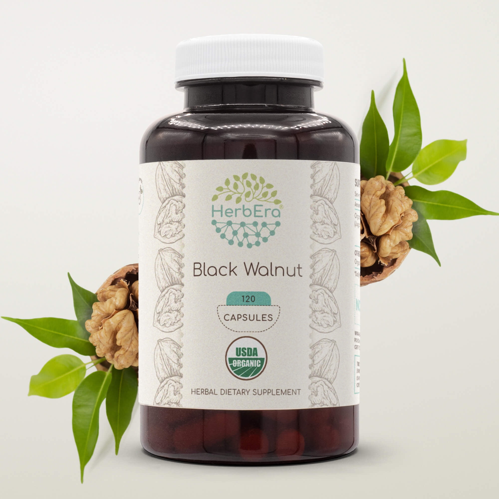 Black Walnut 120 Capsules, 500 mg, Organic Black Walnut (Juglans Nigra ...