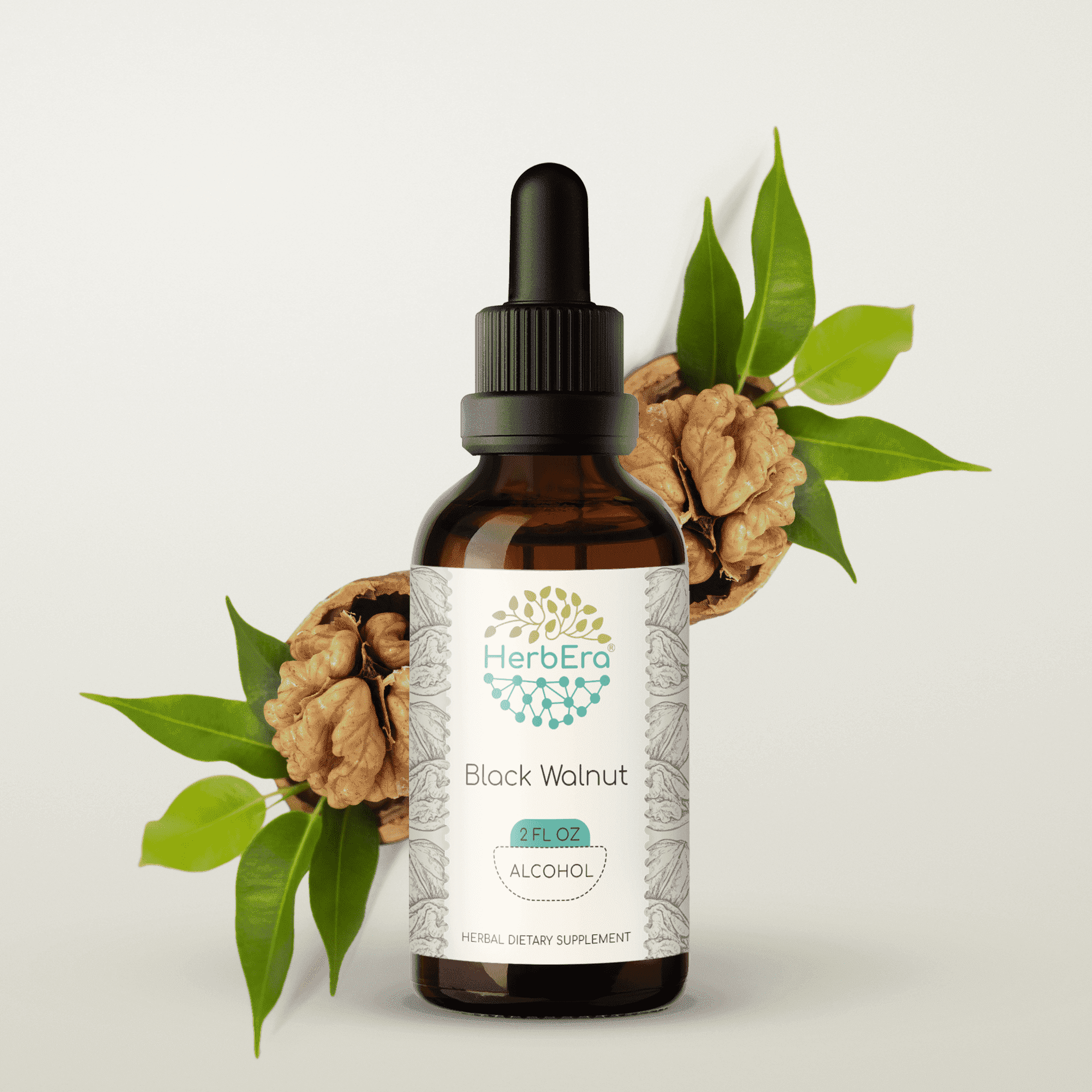 HerbEra Black Walnut Tincture, Herbal Dietary Supplement for Intestinal ...