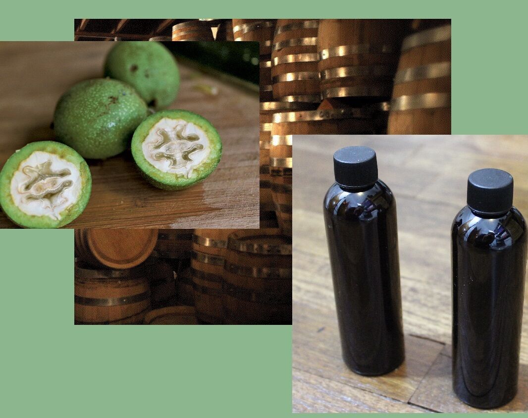 Black Walnut Extract 8 oz Organic Ripe Green Hulls of Juglans nigra ...