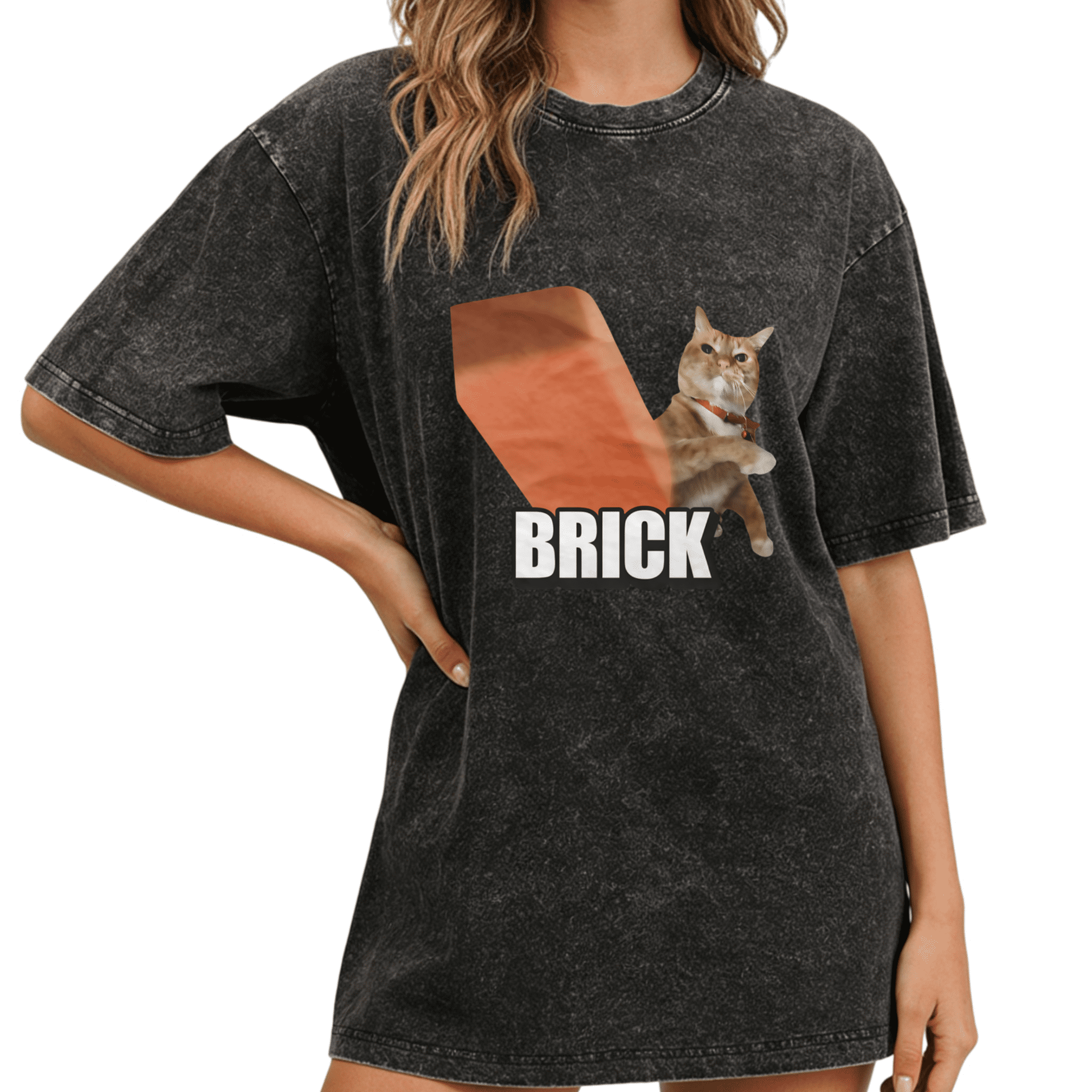 Black Washed Cat Hit By Brick Meme Print Tshirt Graphic Tees Shirts S ...
