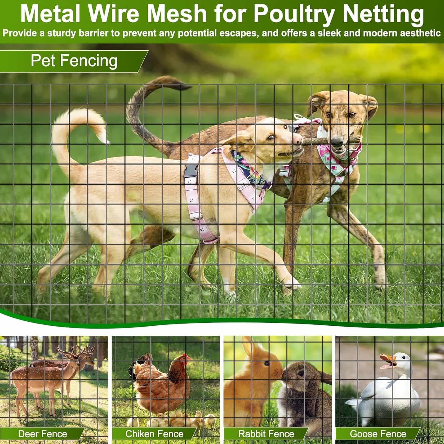 Black Welded Wire Fence 36 Inch x 59 Foot, 2.4" x 2.4" 14GA PVC Coated ...