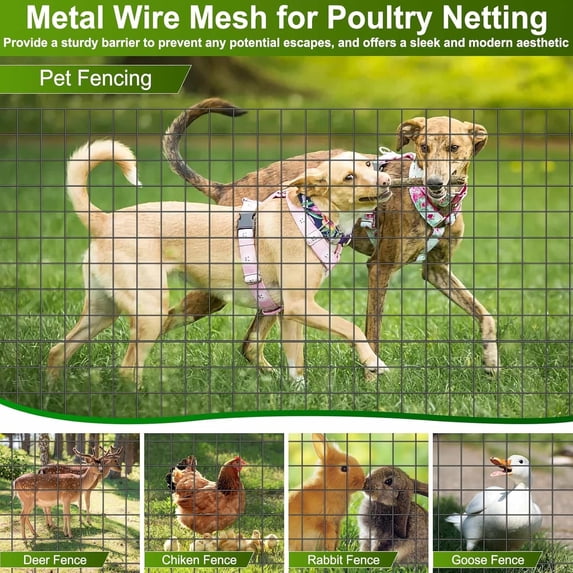 Black Welded Wire Fence 36 Inch x 59 Foot, 2.4" x 2.4" 14GA PVC Coated ...