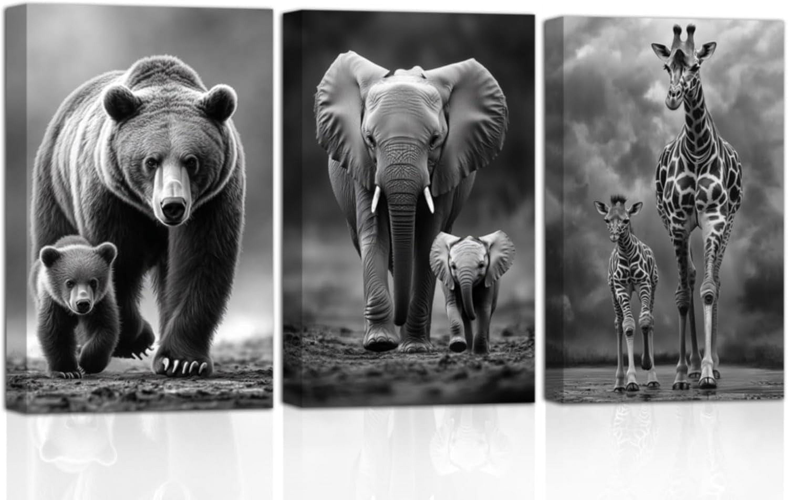 Black and White Animals Framed Wall Art 3 Pieces Tiger Lion Wolf and ...