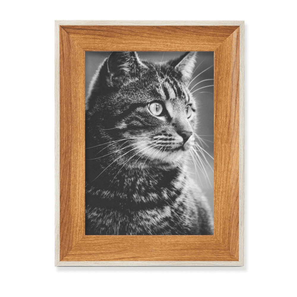 Black White Cat Profile Animal Desktop Wooden Photo Frame Display ...