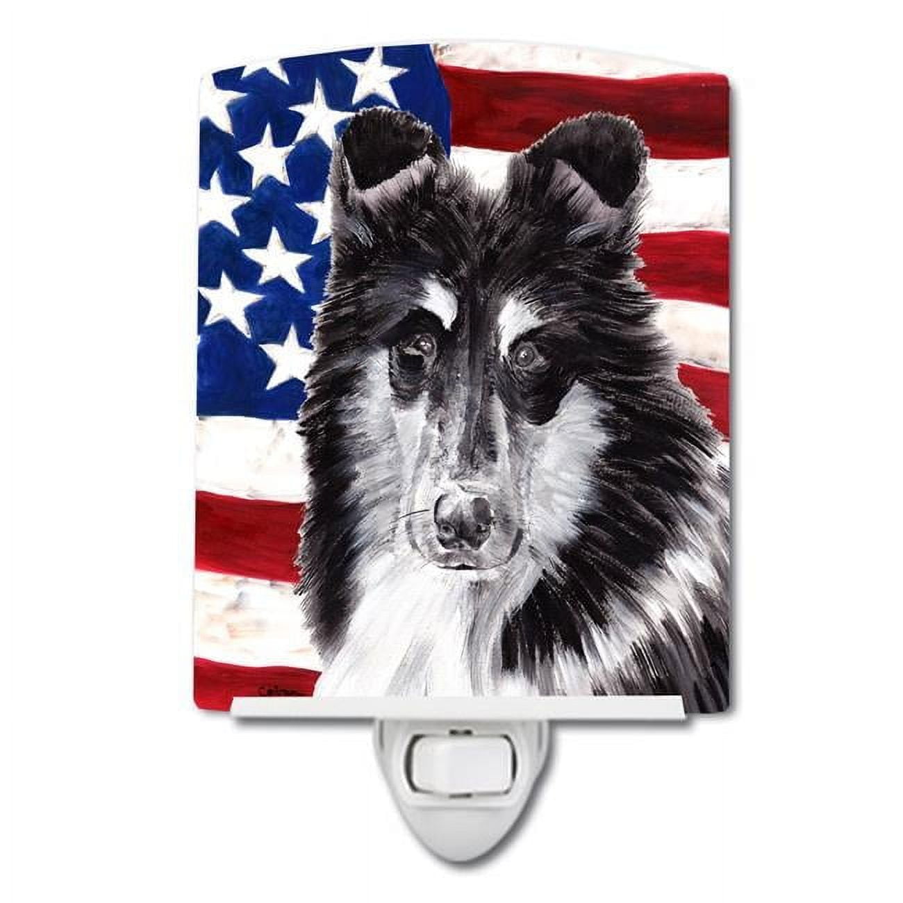 Black & White Collie with American Flag USA Ceramic Night Light ...