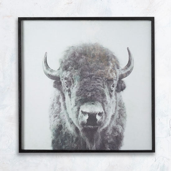 Black & White Framed American Buffalo - Walmart.com