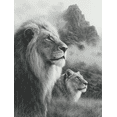 Black White Lion Canvas Wall Art, Majestic Wildlife Portrait Print ...