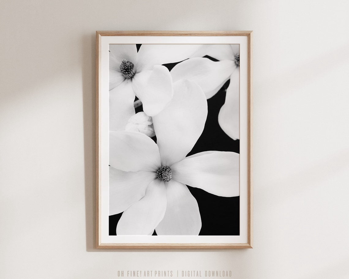 Black White Magnolia Flower Botanical Poster Unframed Paper Print ...